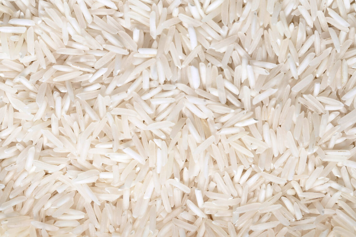 Scatolame | SAC S.p.A.